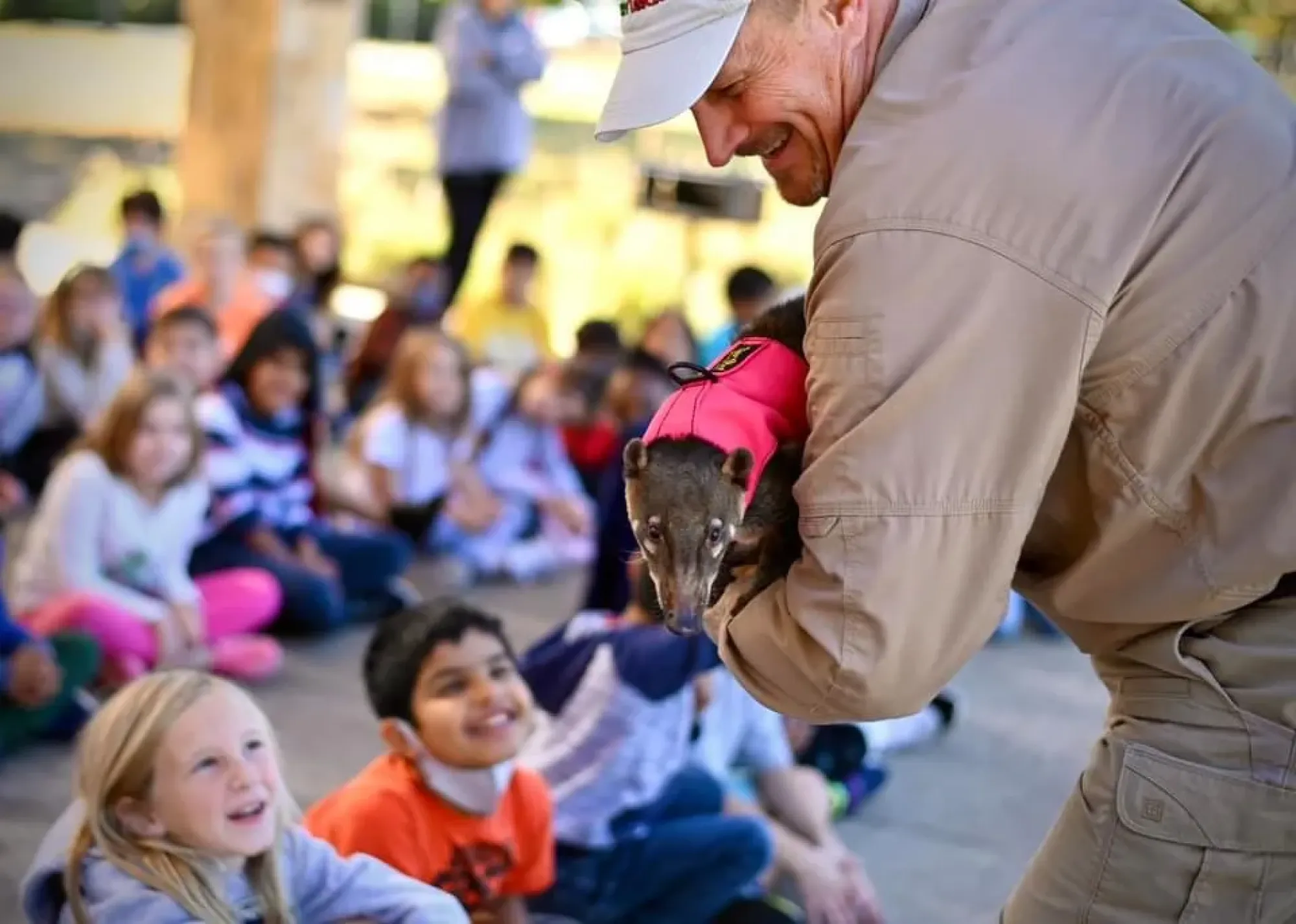 Bringing Wildlife to Classrooms: Animal Shows for Schools Near Me - The ...