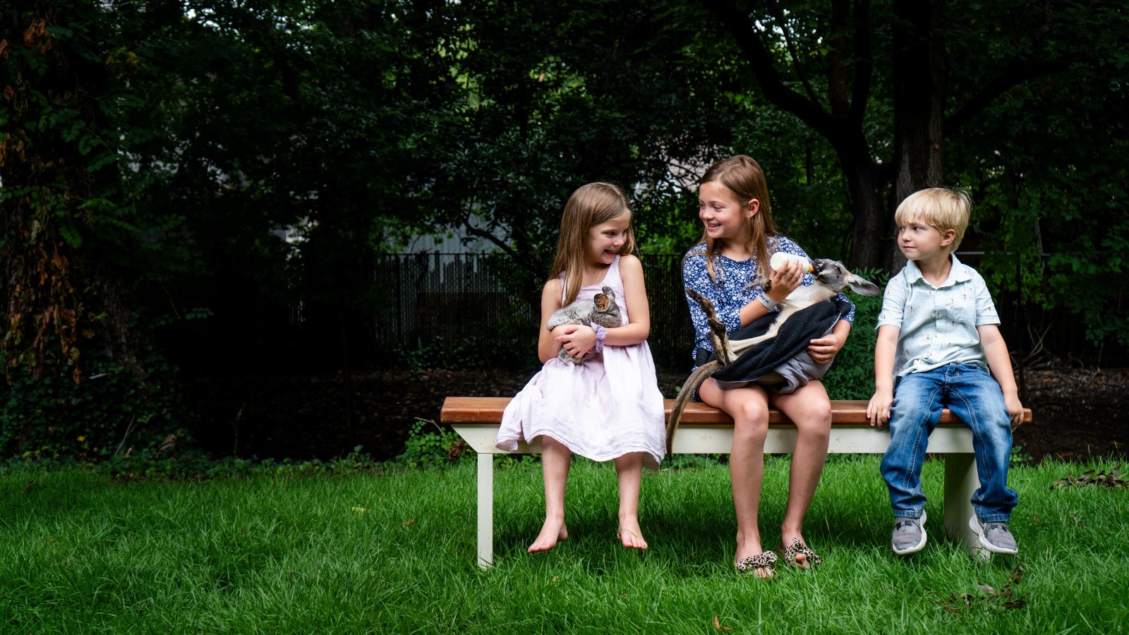 Animal Shows for Schools: Igniting Curiosity with Wildlife-Themed STEM ...